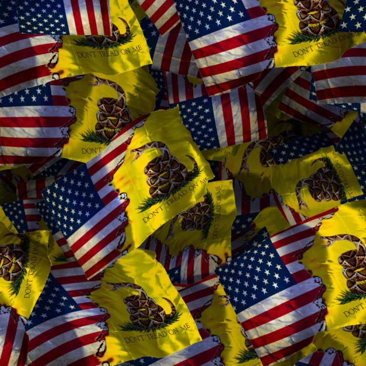 US Gadsden Flags 24 – Pattern Crew