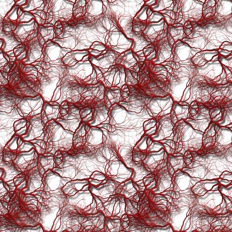 Vein Map 24 – Pattern Crew