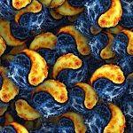 Fire and Water – Pattern Crew