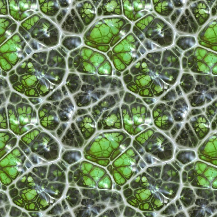 Alien Egg 22 – Pattern Crew