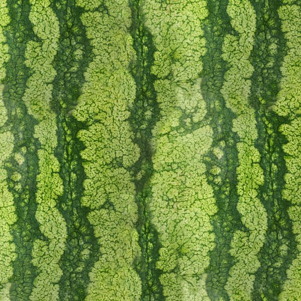 Watermelon Rind 22 – Pattern Crew