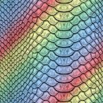 Rainbow Snake Skin – Pattern Crew