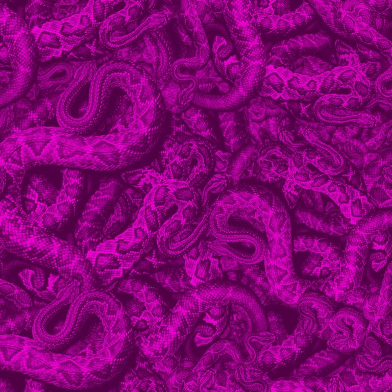 Pink Rattlers – Pattern Crew