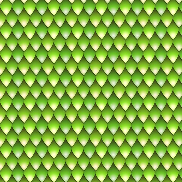 Green Mamba Snake Skin 25 – Pattern Crew