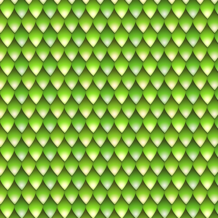 Green Mamba Snake Skin 25 – Pattern Crew