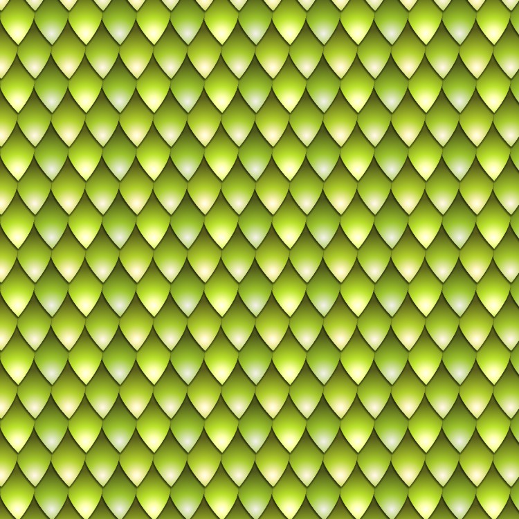 Green Mamba Snake Skin 24 – Pattern Crew