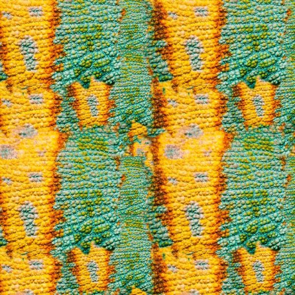 Brown Python Snake Skin – Pattern Crew