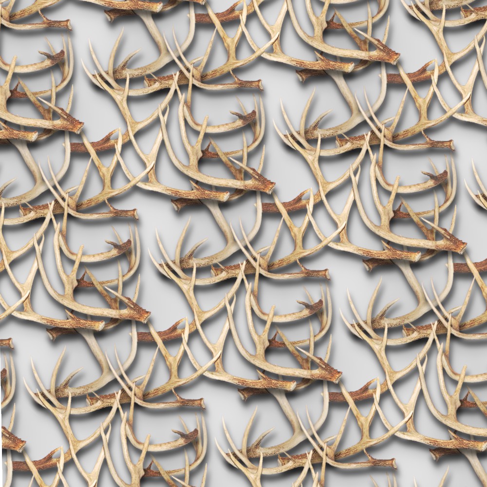 White Tail Deer Antlers 26 – Pattern Crew