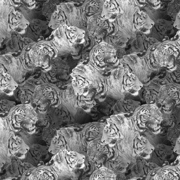 Tiger Drawing 23 – Pattern Crew