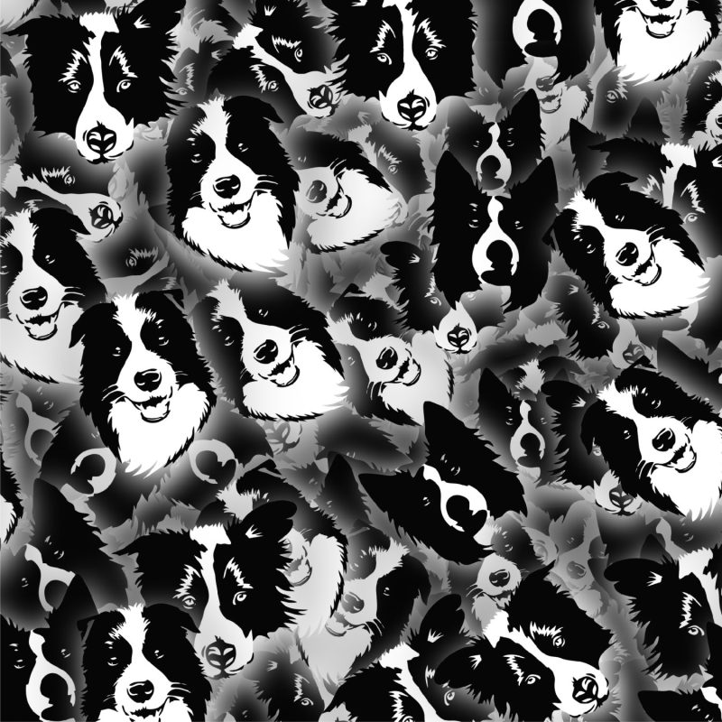 Cowhide 45 – Pattern Crew