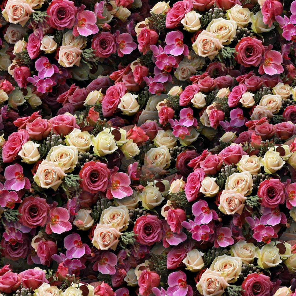 Rose Parade – Pattern Crew