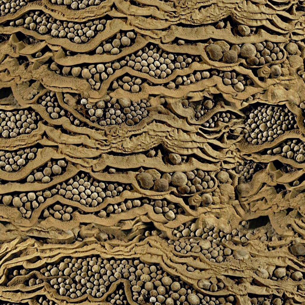 Sedimentary – Pattern Crew