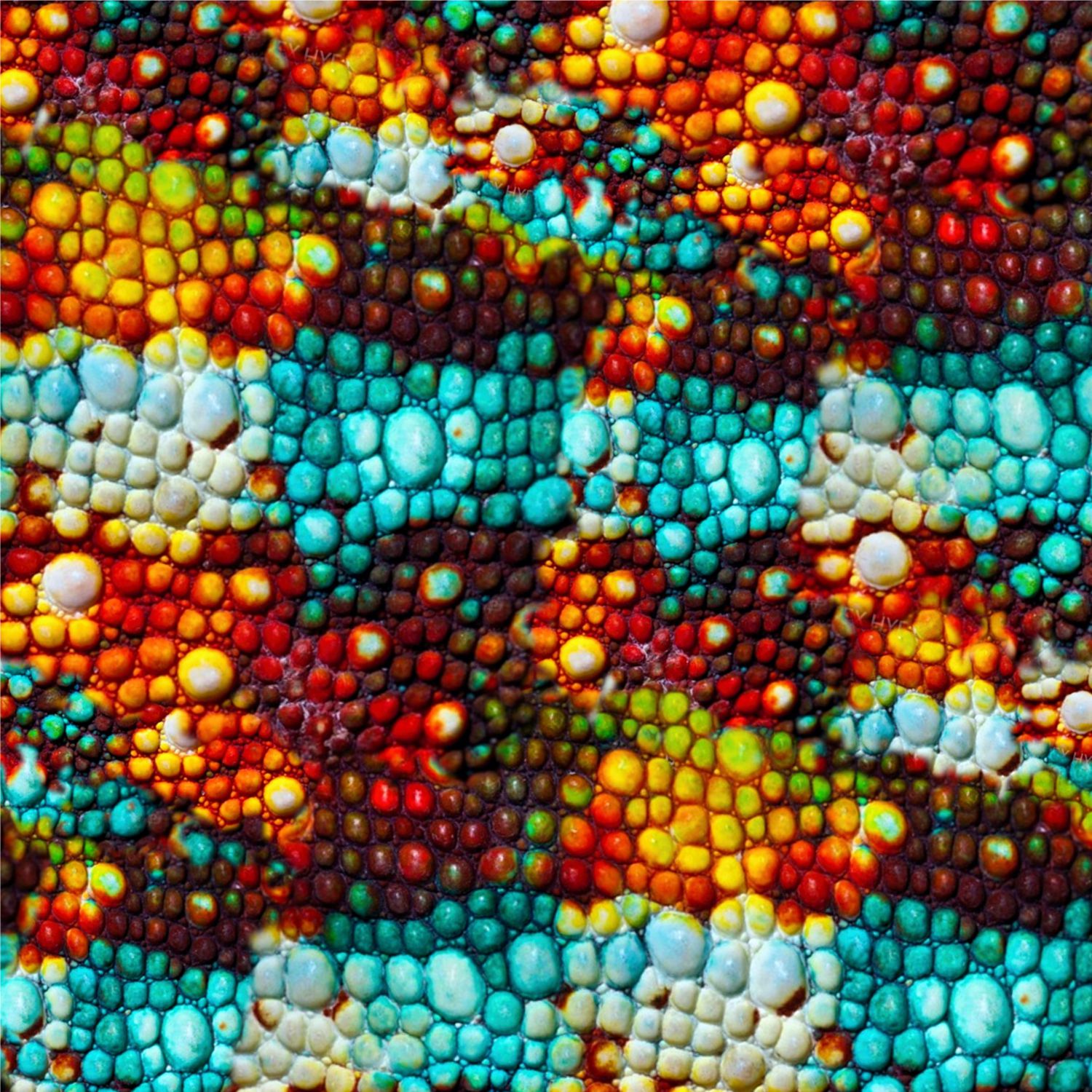 Chameleon Skin 25 – Pattern Crew