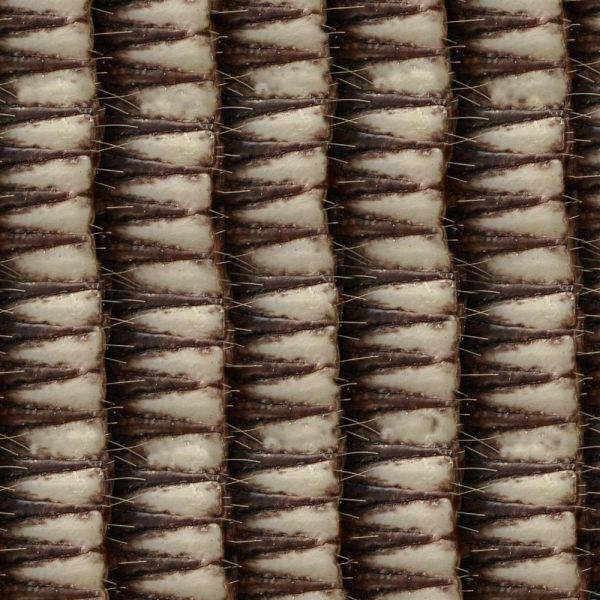 Armadillo Hide 23 – Pattern Crew