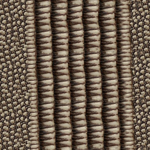 Armadillo Hide 24 – Pattern Crew