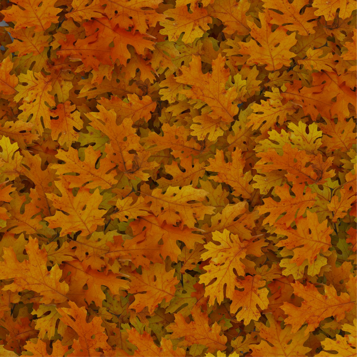 Autumn Leaves 25 – Pattern Crew