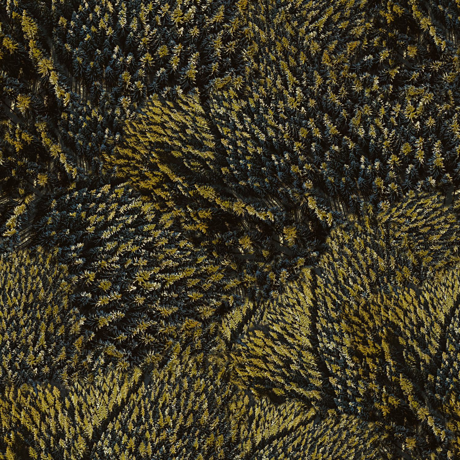 Green Hills of Earth 22 Camouflage – Pattern Crew