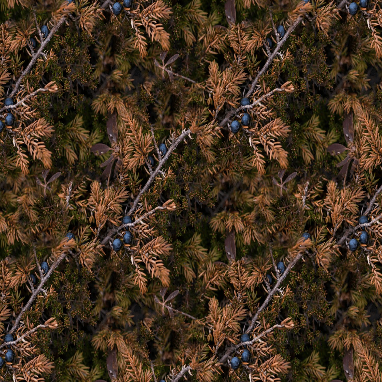 Autumn Juniper Berries – Pattern Crew