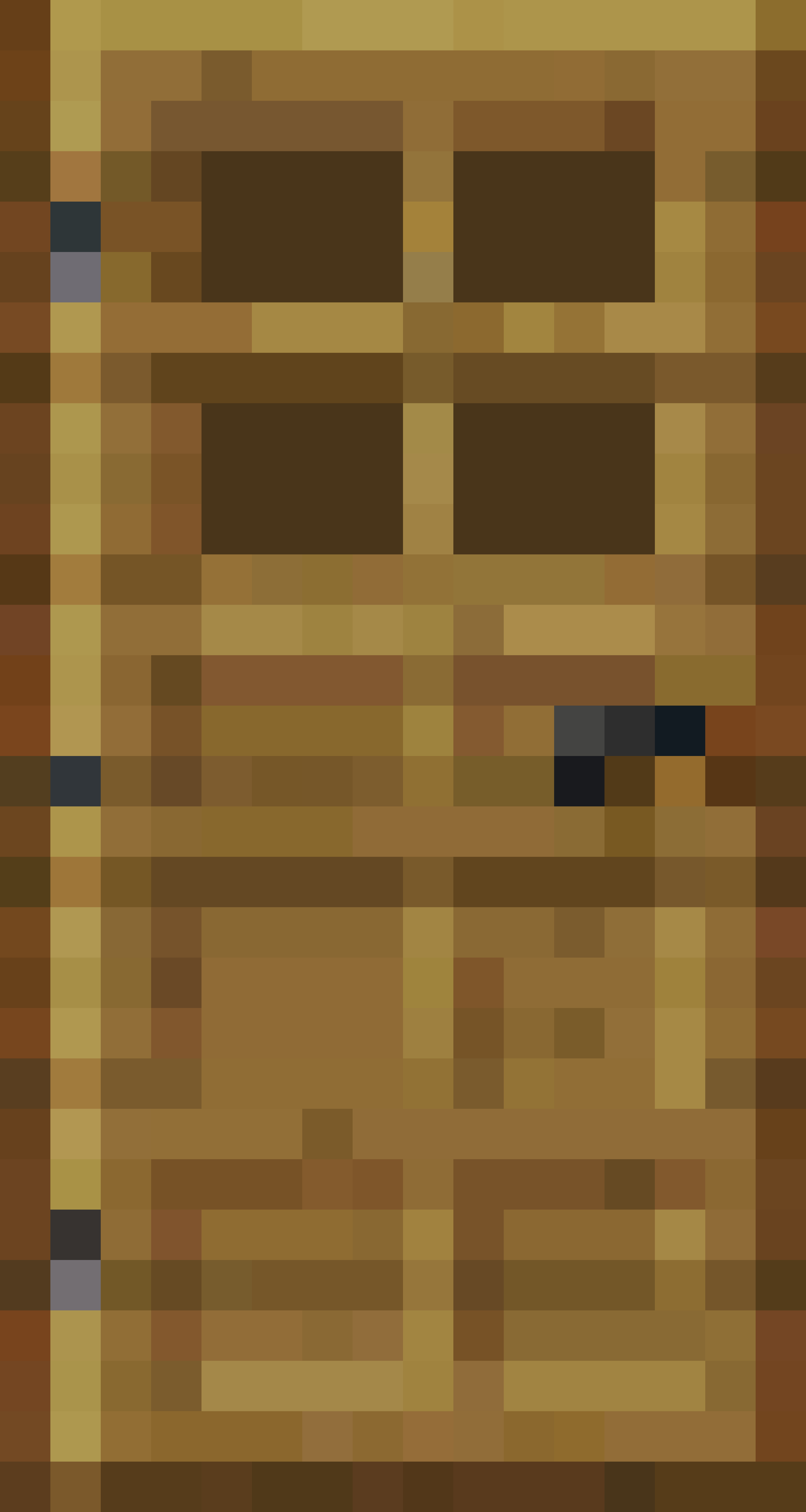 Minecraft Door – Pattern Crew