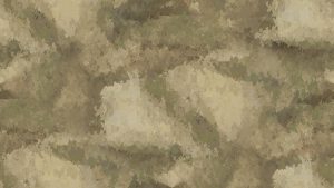 ATACS 23 Camouflage – Pattern Crew