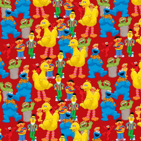 Sesame Street 24 – Pattern Crew