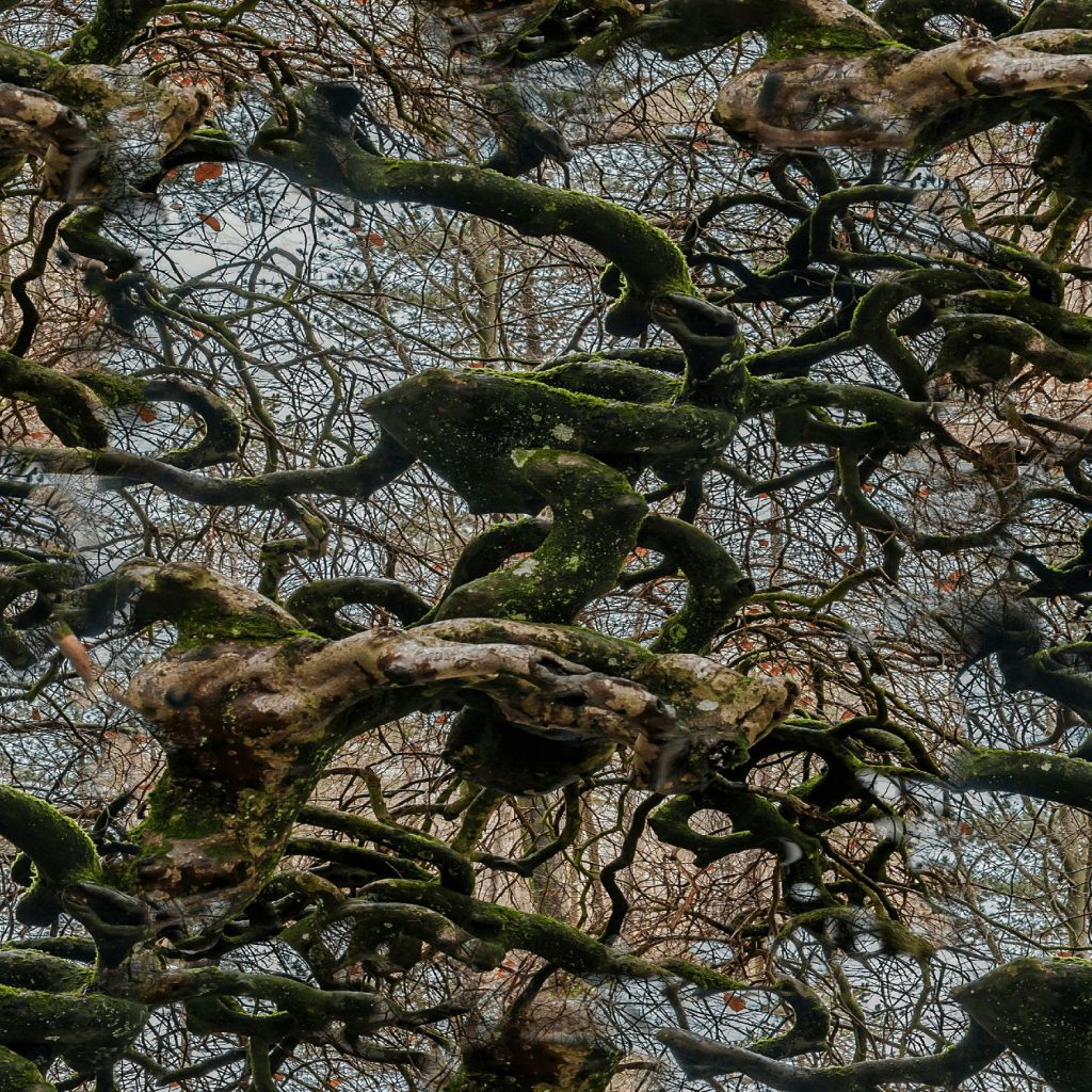 Gnarly 23 Camouflage – Pattern Crew