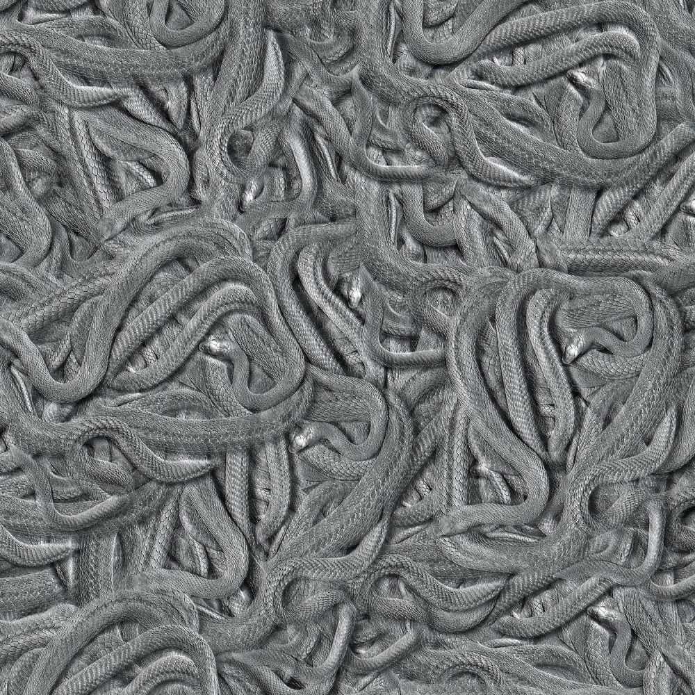 Gray Snakes – Pattern Crew