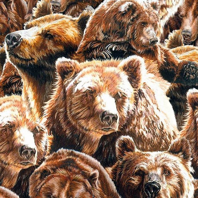 Bears 24 – Pattern Crew