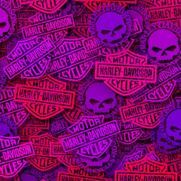 Harley 19 – Pattern Crew