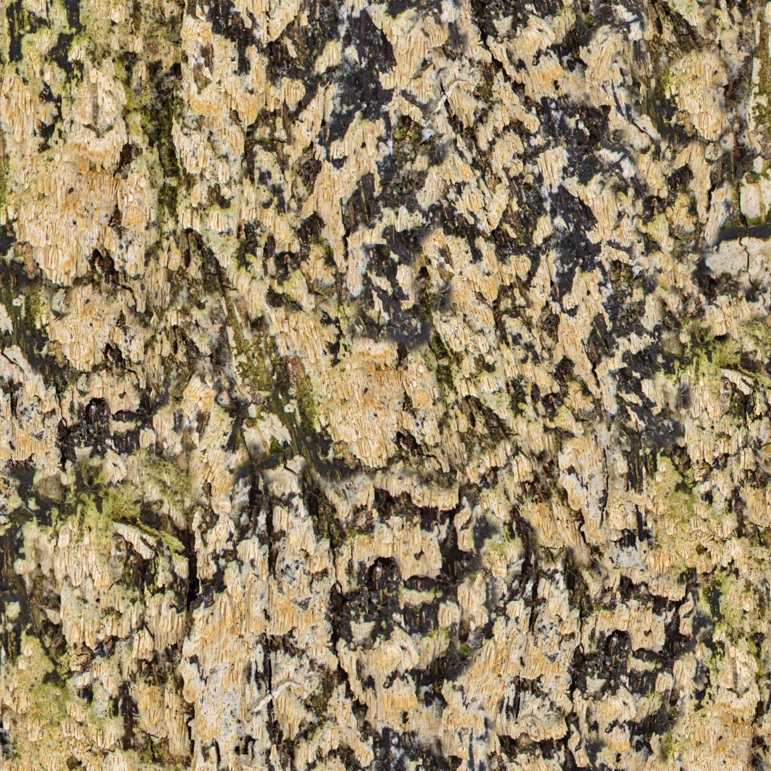 Northside 23 Camouflage – Pattern Crew