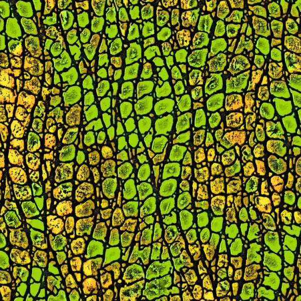 Reptile Skin 25 – Pattern Crew