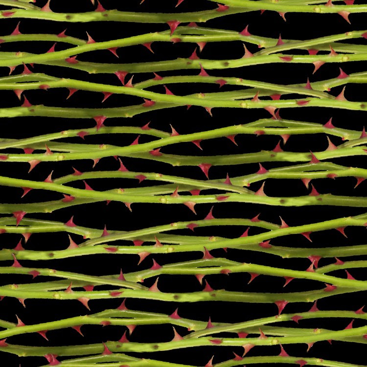 Rose Thorns 22 – Pattern Crew