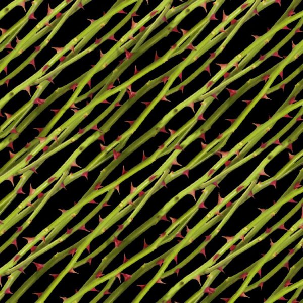 Rose Thorns 23 – Pattern Crew