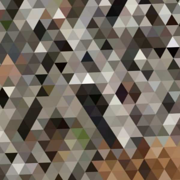 Triangles 22 Camouflage – Pattern Crew