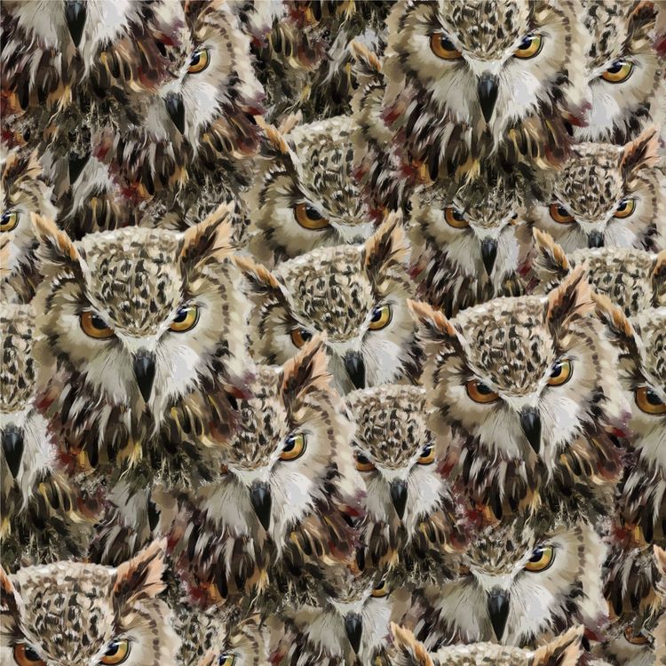 Watching Owls – Pattern Crew