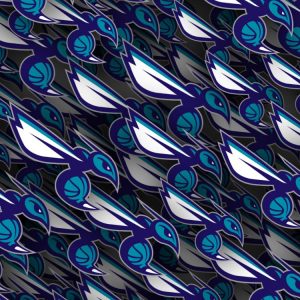 Charlotte Hornets 23 – Pattern Crew