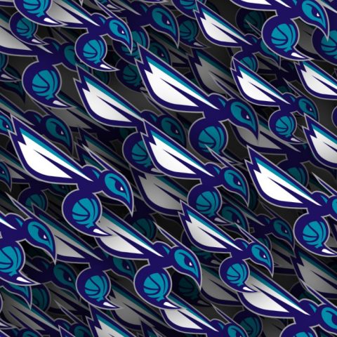 Charlotte Hornets 23 – Pattern Crew