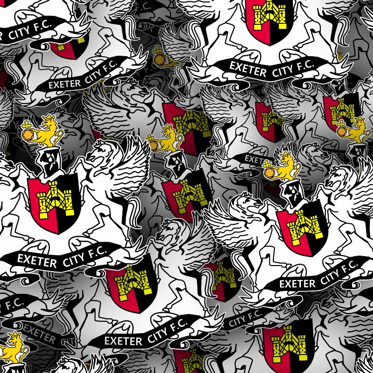 Exeter City FC – Pattern Crew