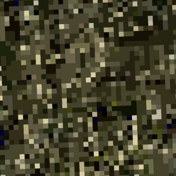 Digital 22 Camouflage – Pattern Crew