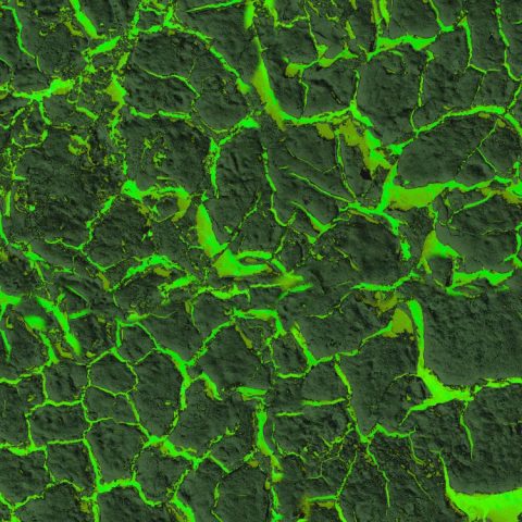 Cracked Lava Green – Pattern Crew