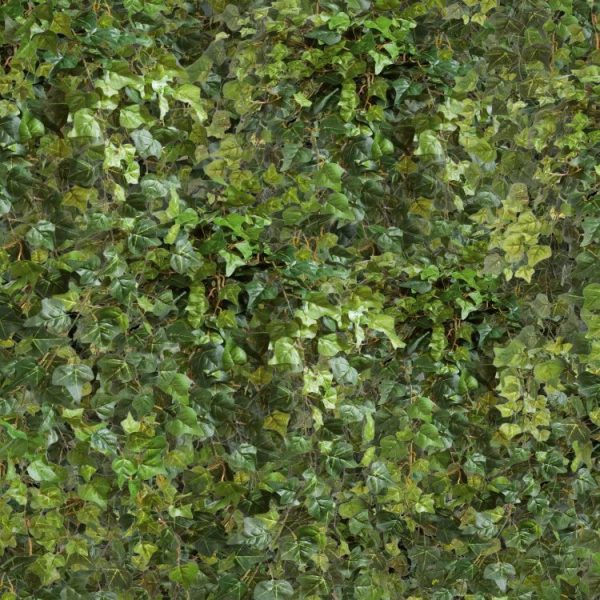 Hanging Ivy – Pattern Crew