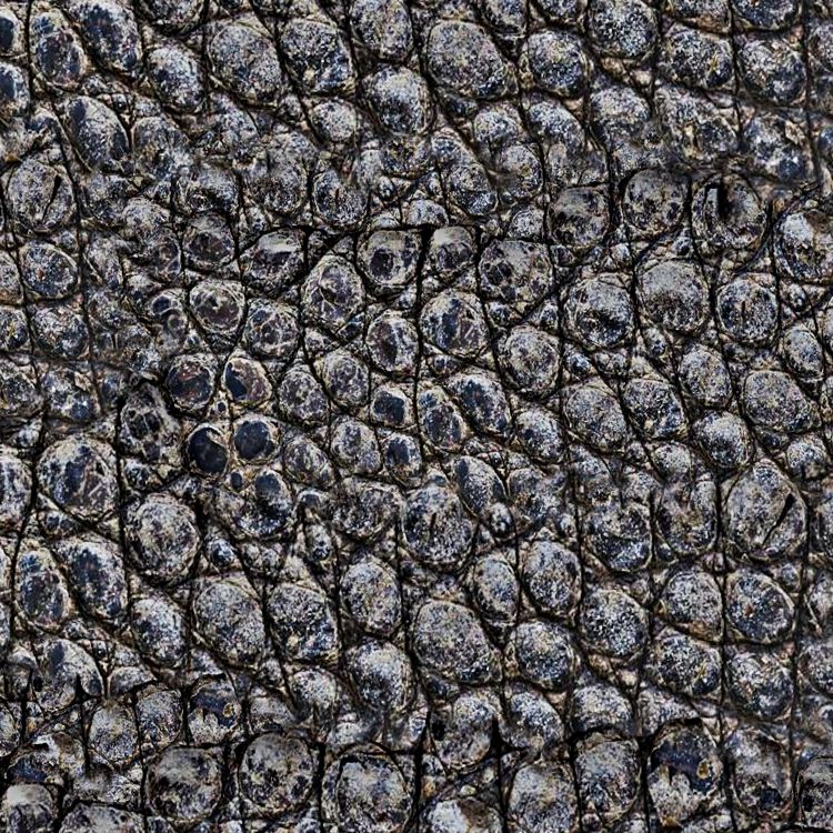 Alligator Skin 23 – Pattern Crew