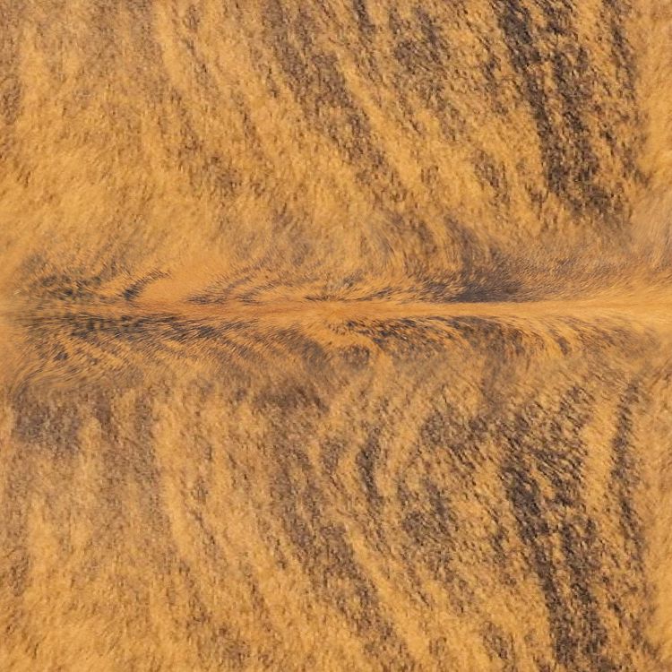 Brindle Cowhide 22 – Pattern Crew