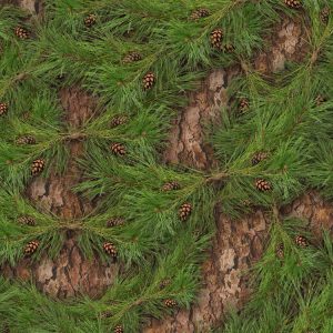 Georgia Pine Camouflage – Pattern Crew