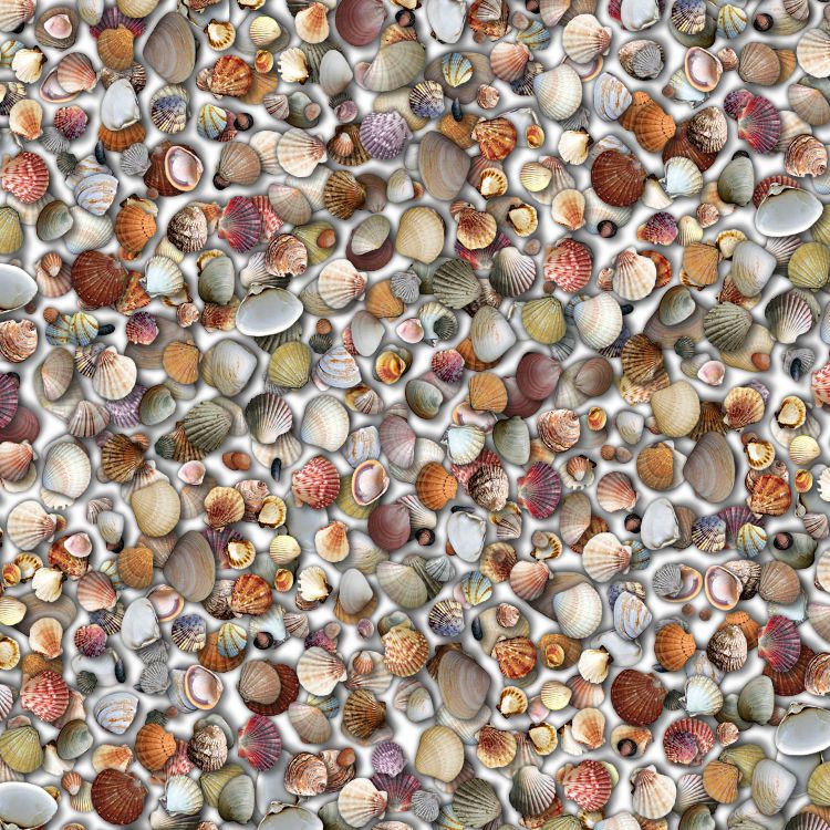 Seashell 23 – Pattern Crew