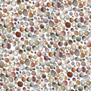 Seashell 27 – Pattern Crew