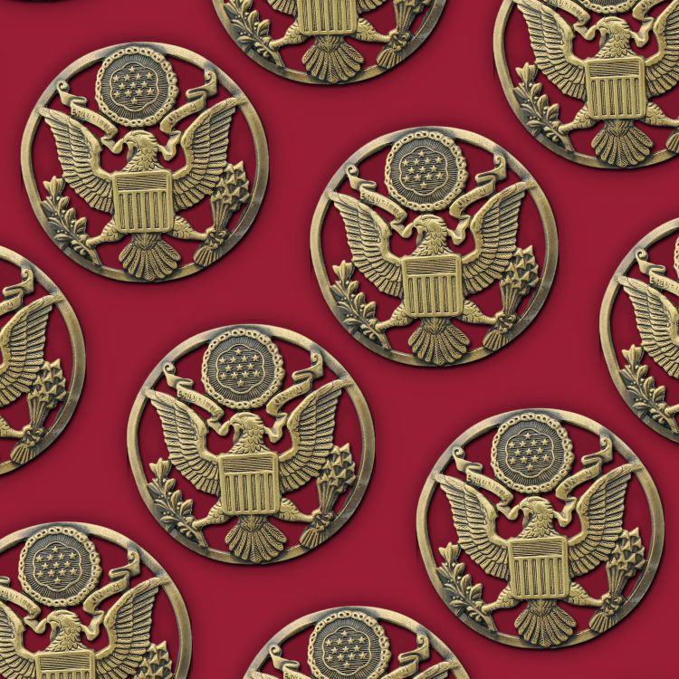 Army Medallion 44 – Pattern Crew