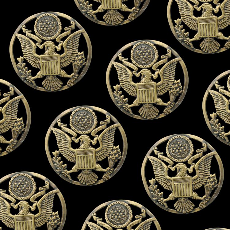 Army Medallion 48 – Pattern Crew