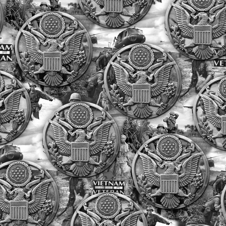 Vietnam Army Veteran 23 – Pattern Crew