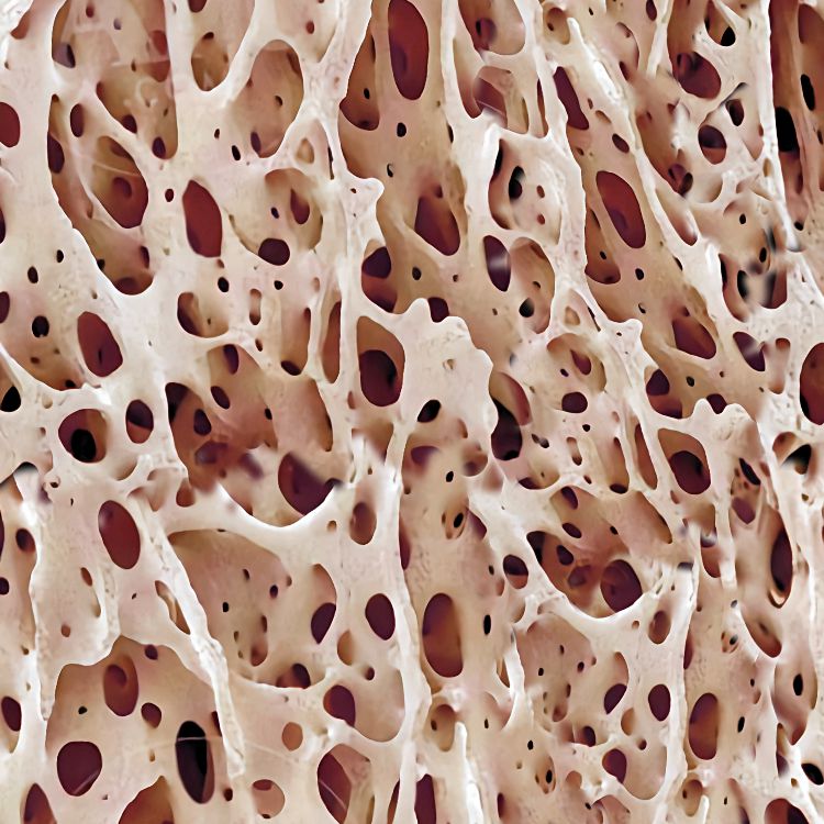 Bone Marrow 25 – Pattern Crew